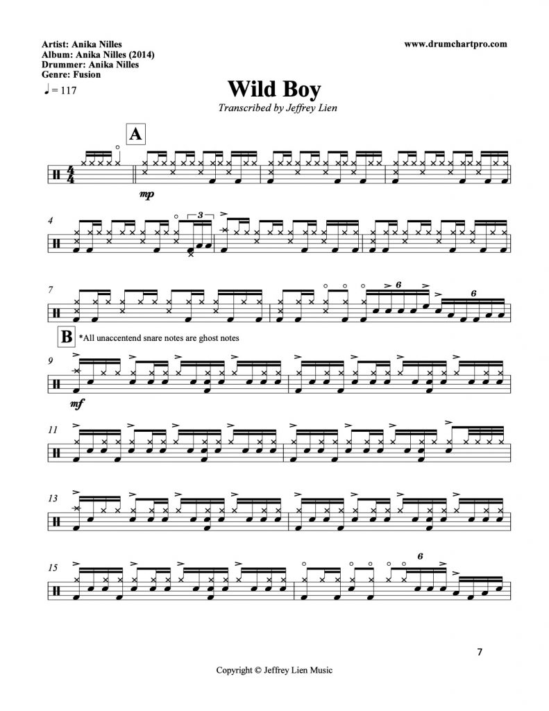 TRANSCRIPTION BOOK (print)